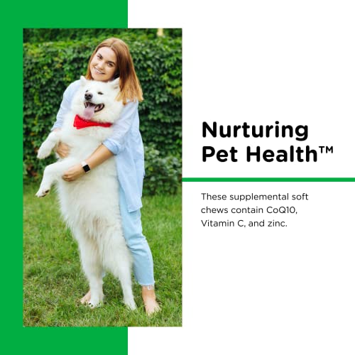 Nutri-Vet Dental Health Soft Chews for Dogs | Helps Control Plaque and Tartar Buildup | Natural Hickory Smoke Flavor | 70 Count
