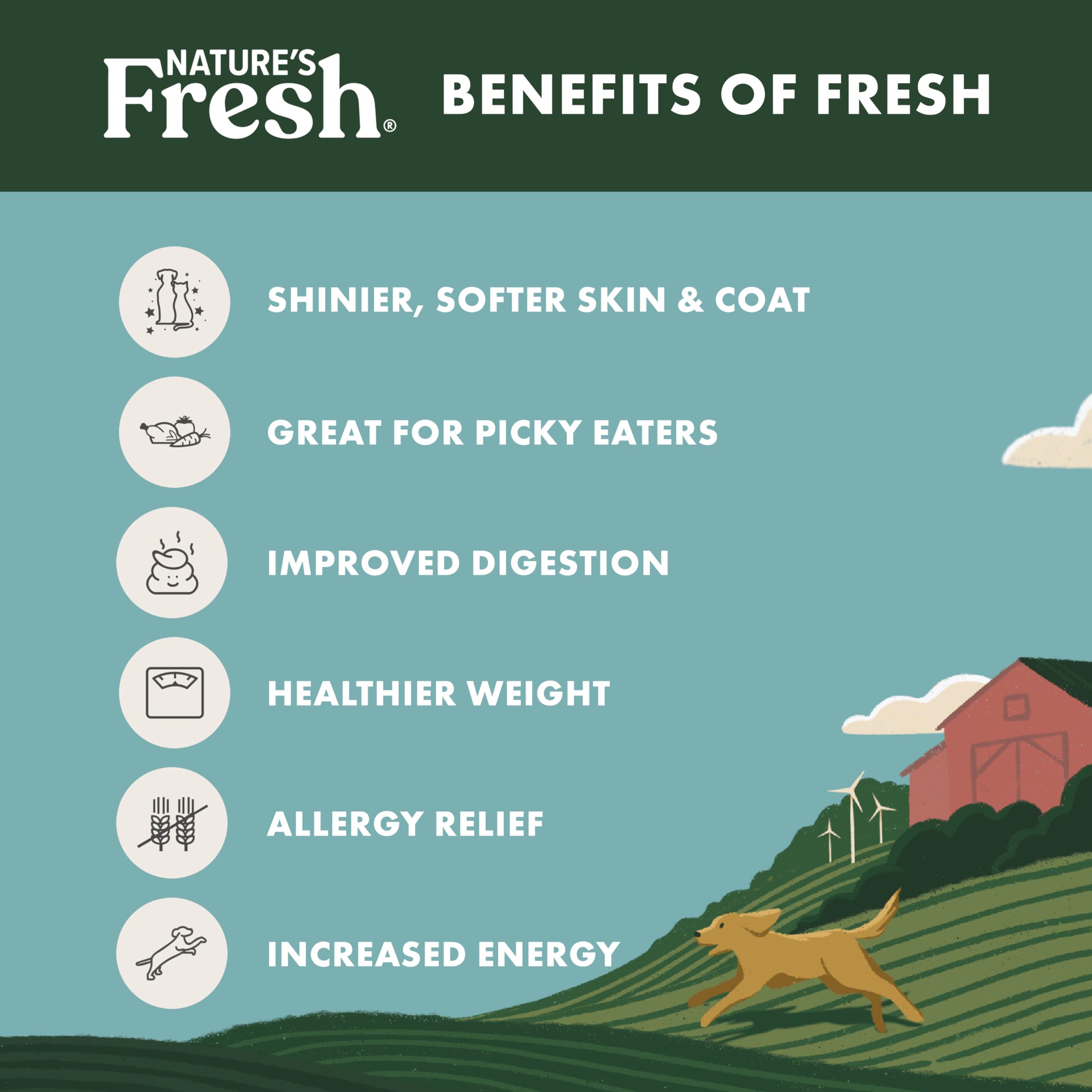 FRESHPET Beef Garden Vegetables Grains 5Lb Dog Food, 80 OZ