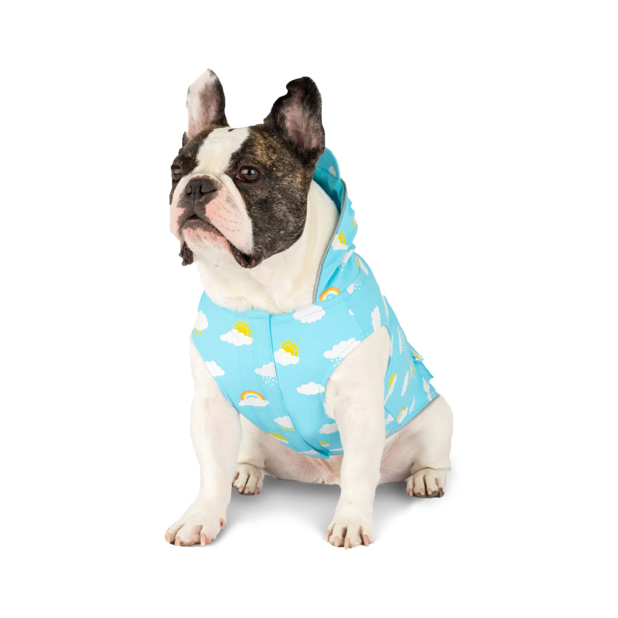 Canada Pooch Clouds Wet Reveal Dog Torrential Tracker, Medium