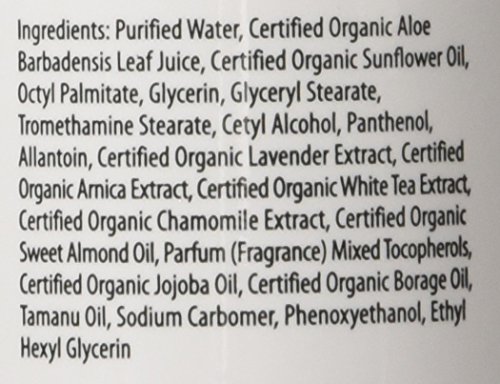 Primal Elements Hand and Body Cream Shea Butter Lotion, 8 Fl Oz (Pack of 1), Cupcake