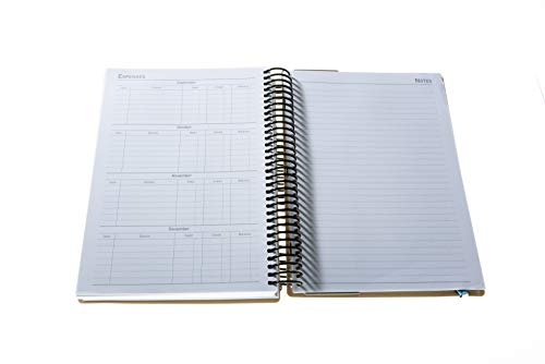 Collins Debden Delta Academic 2023-24 A5 Day To Page Mid Year Diary Planner School College or University Term Journal - August 2023 to August 2024 - Orange - FP51M.44-2324