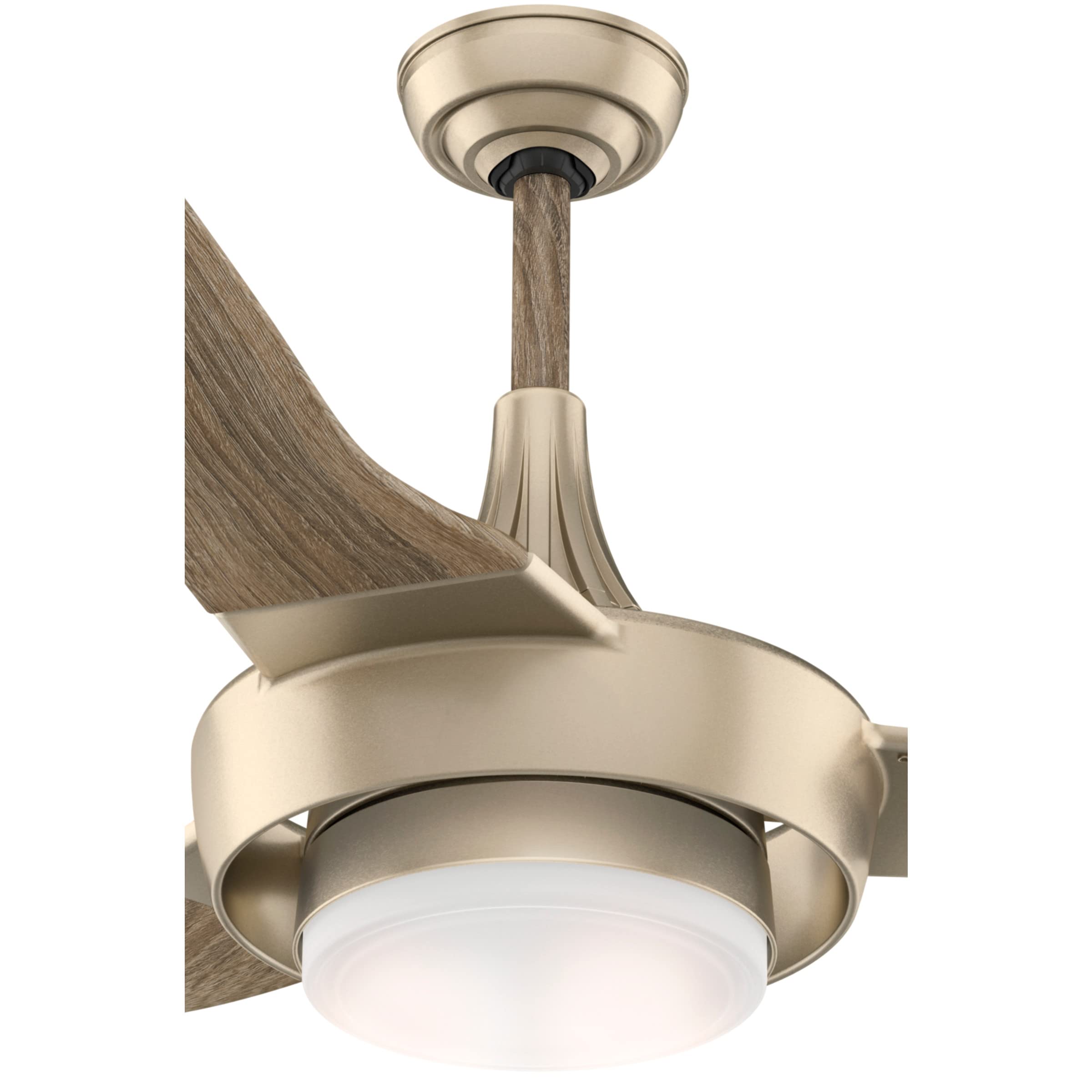Casablanca Perseus Indoor/Outdoor Ceiling Fan with LED Light and Wall Control
