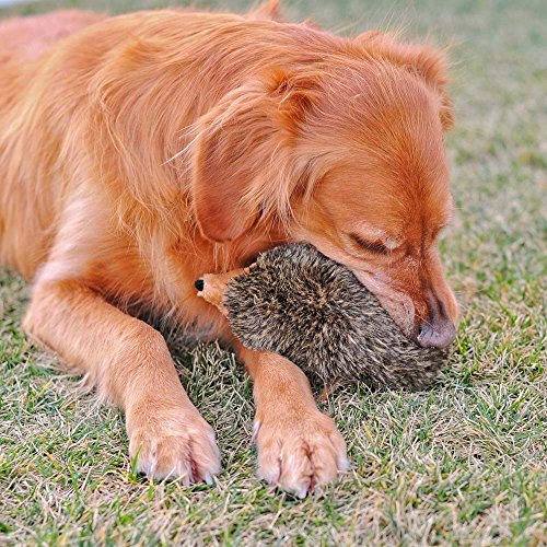 ZippyPaws 12-Inch Hedgehog Squeaky Plush Dog Toy, X-Large for All Breed Sizes