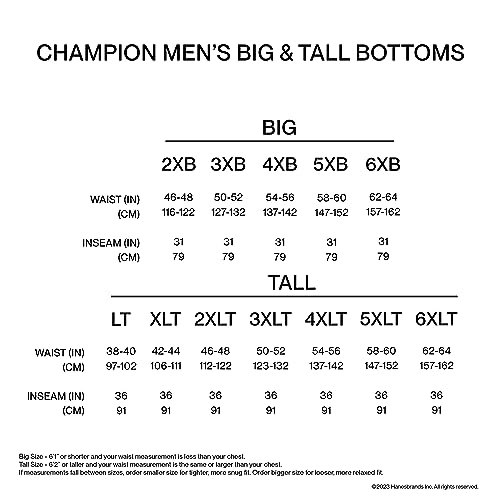 Champion Men's Graphic Jersey Short, black, X Large
