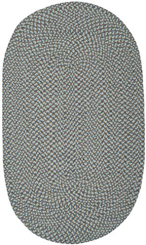 SAFAVIEH Braided Collection 3' x 5' Oval Multi BRD170A Handmade Country Cottage Reversible Cotton Area Rug