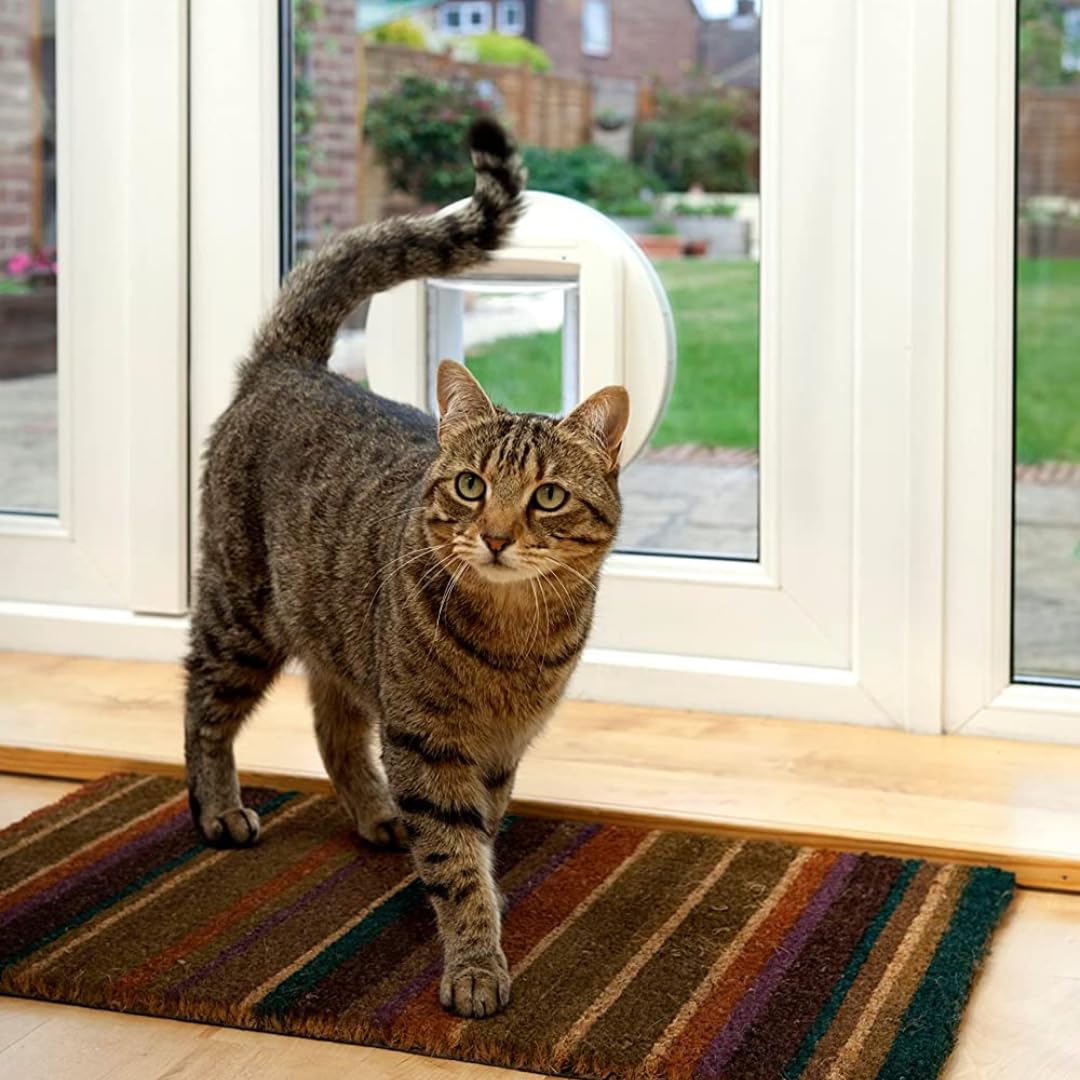 SureFlap - Sure Petcare Microchip Cat Flap, White, Scans Pet's ID on Entry, Check Your Cat's Size,Flap Opening is 4 3/4β (H) by 5 5/8β (W)