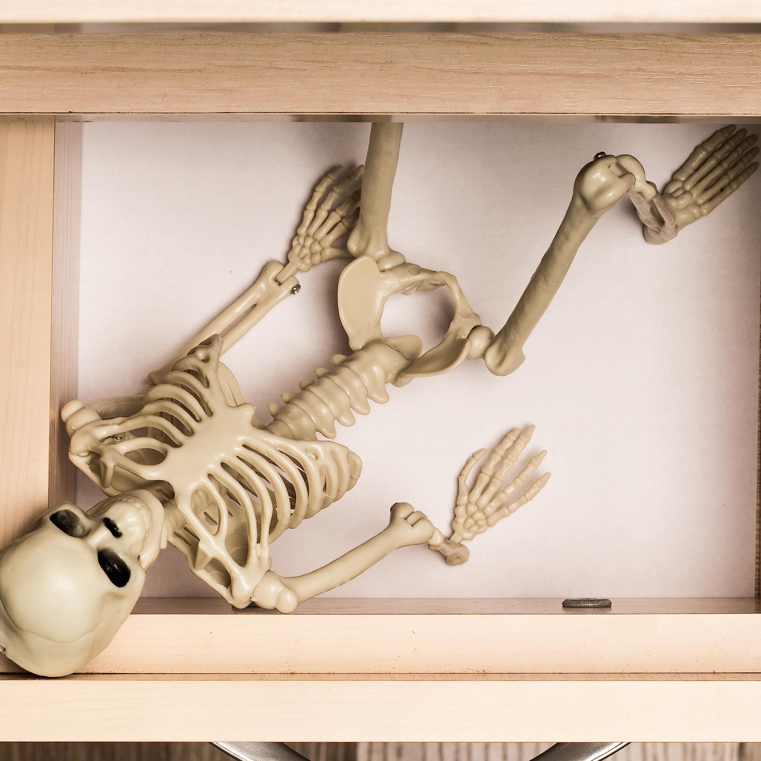 COYOAL Skeletons Decorations, 16'' Posable Plastic Skeleton, Full Body Skeleton with Movable Joints, Realistic Spooky Scary Skeletons for Indoor Party Haunted House Graveyard Props Decor