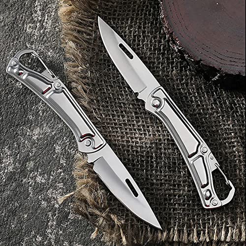 DHDestined Fateful Mini Pocket Knife Folding Knife, with 2.6in Sharp Steel Blade, EDC Knife for Hiking, Camping, Outdoor
