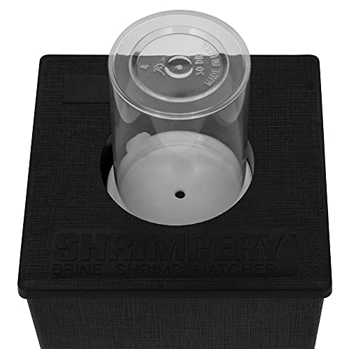 San Francisco Bay Brand Shrimpery Brine Shrimp Kit for Hatching Baby Brine Shrimp