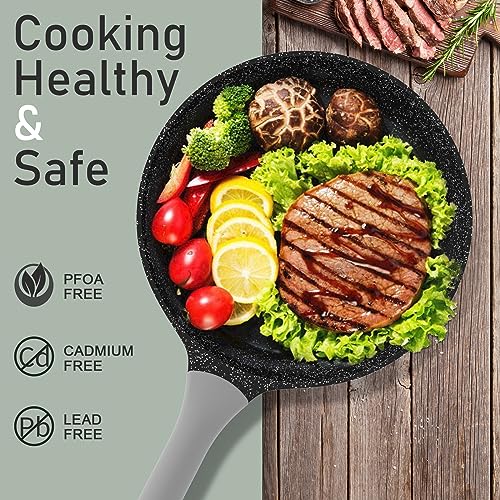 COOKER KING Nonstick Frying Pan with Lid-11Inch Nonstick Skillet Healthy Cookware, PFOA Free Granite Coating | Cooking Pan with Heat-Resistant Handle-Induction Compatible