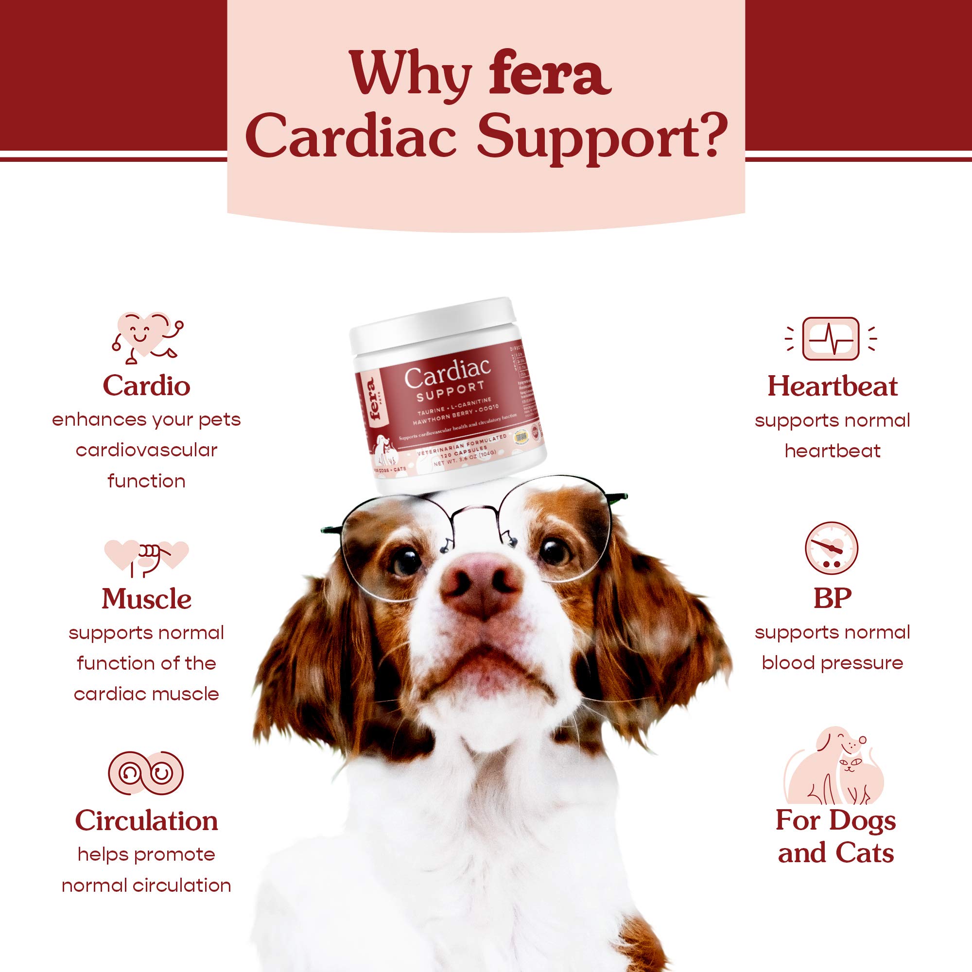 Fera Pets Probiotics and Cardiac Support Supplement Bundle for Dogs and Cats β All Natural Probiotics Powder for 5 Billion CFUs per Scoop β Support Cardiovascular Heart Health (60 Capsules)