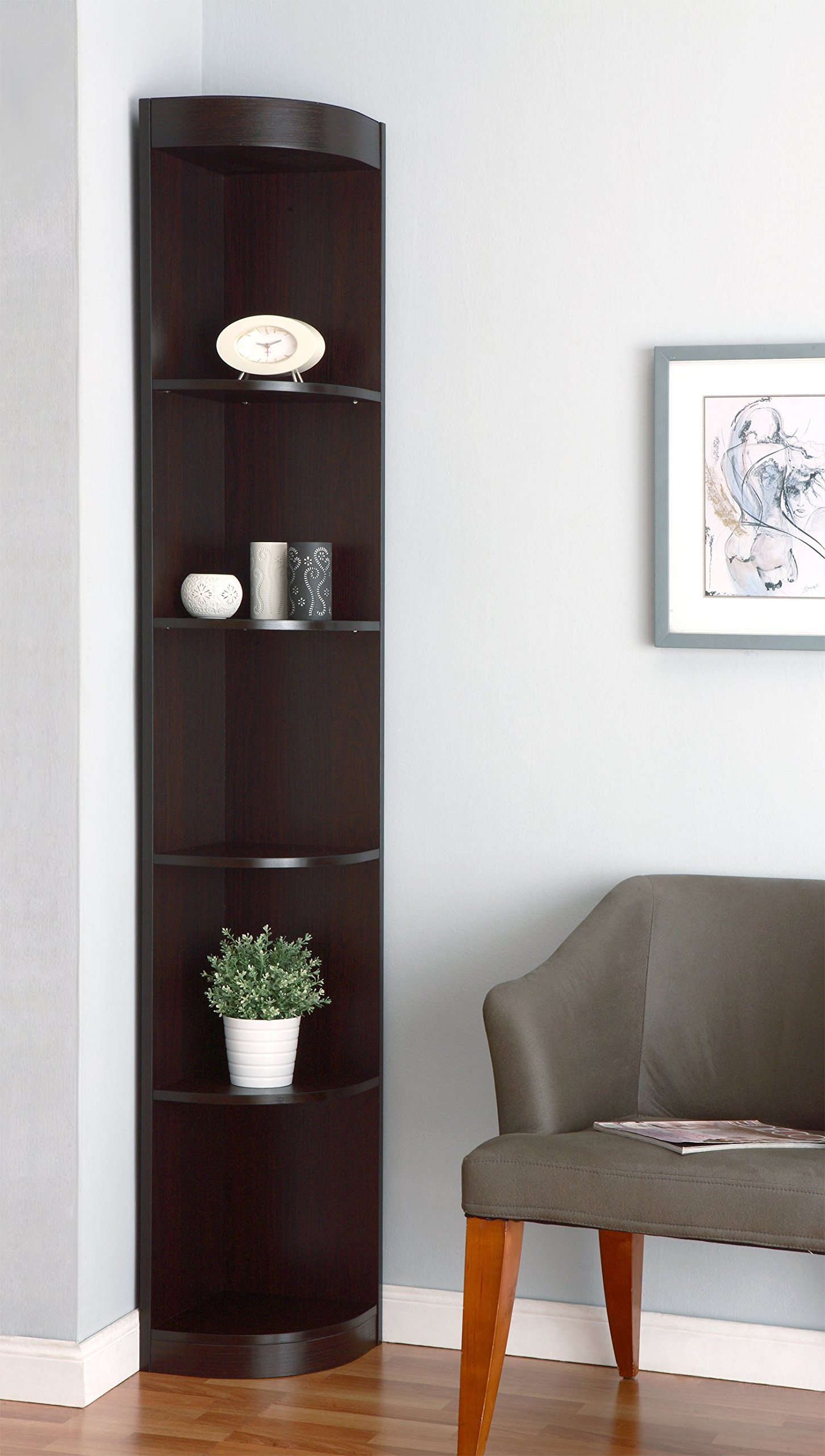 Furniture of America Tango Transitional 5-Shelf Corner Display Stand, Cappuccino