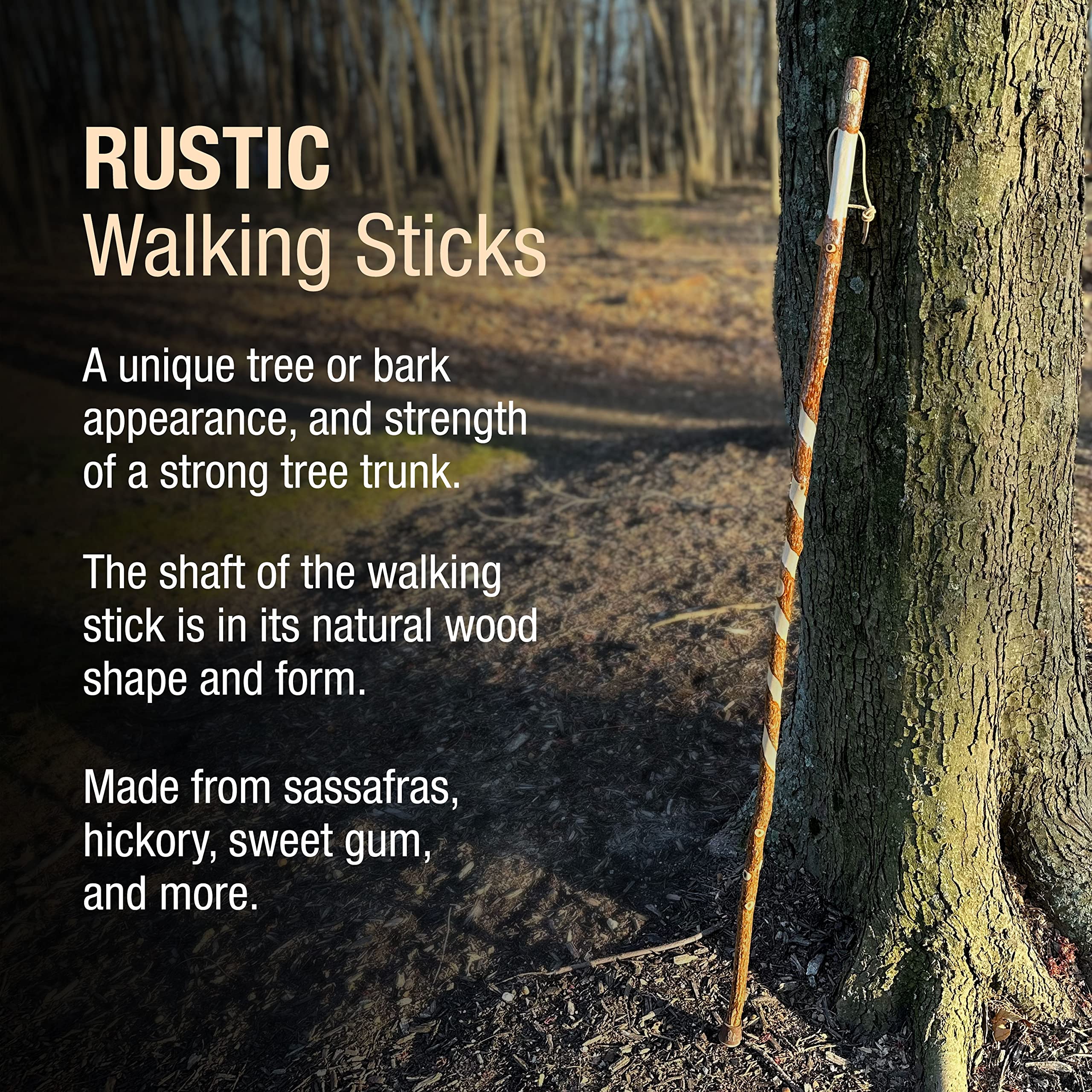 Brazos Rustic Wood Walking Stick, Twisted Sassafras, Traditional Style Handle, for Men & Women, Made in The USA, 55"