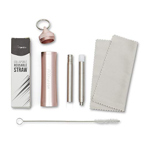 Collapsible Stainless Steel Straw with Travel Case (Rose Gold)