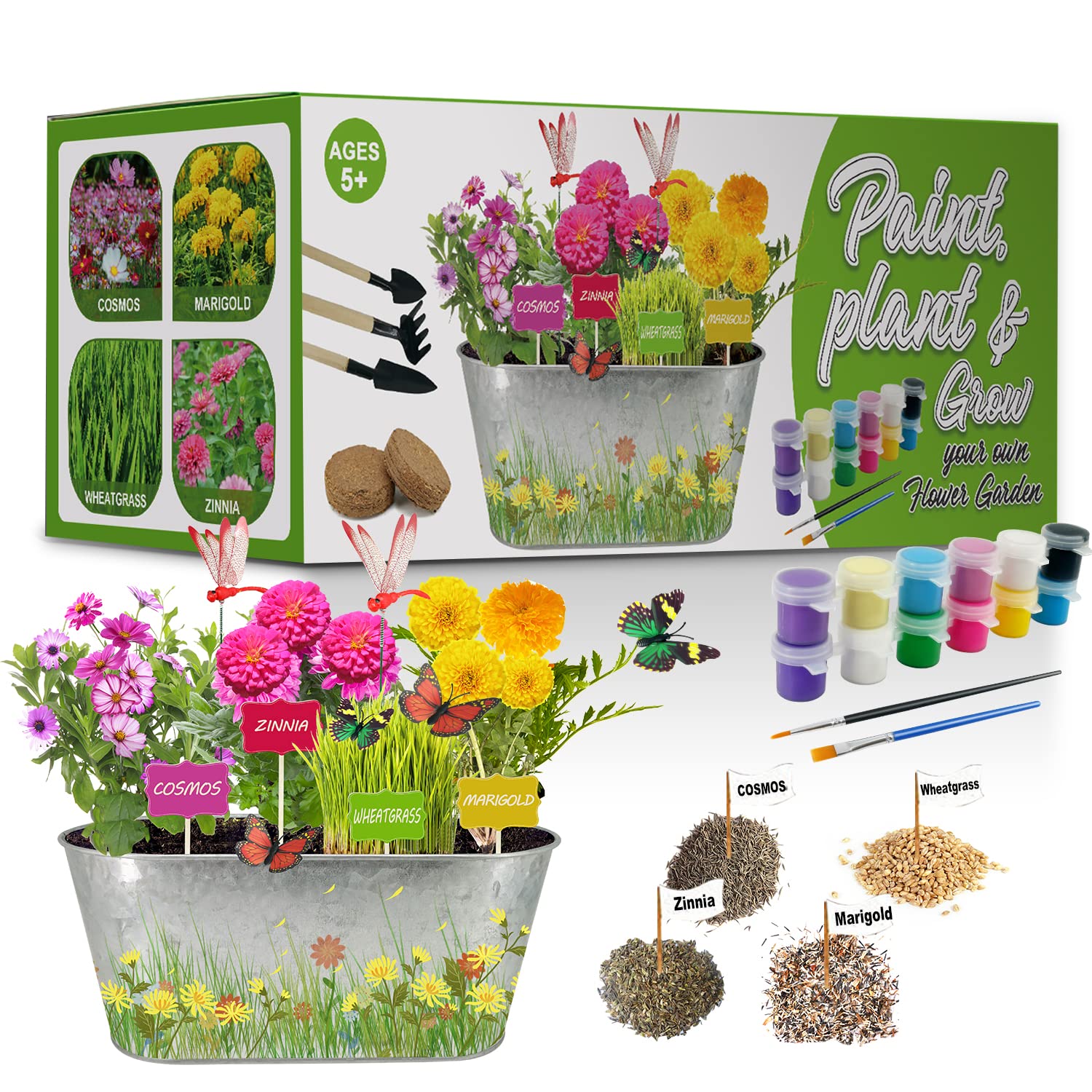 Paint & Plant Flower Growing Kit for Kids - Best Birthday Crafts Gifts for Girls&Boys Age 5, 6, 7, 8-12 Year Old Girl Christmas Gift - Childrens Gardening Kits, Art Crafts Projects Toys for Ages4-12