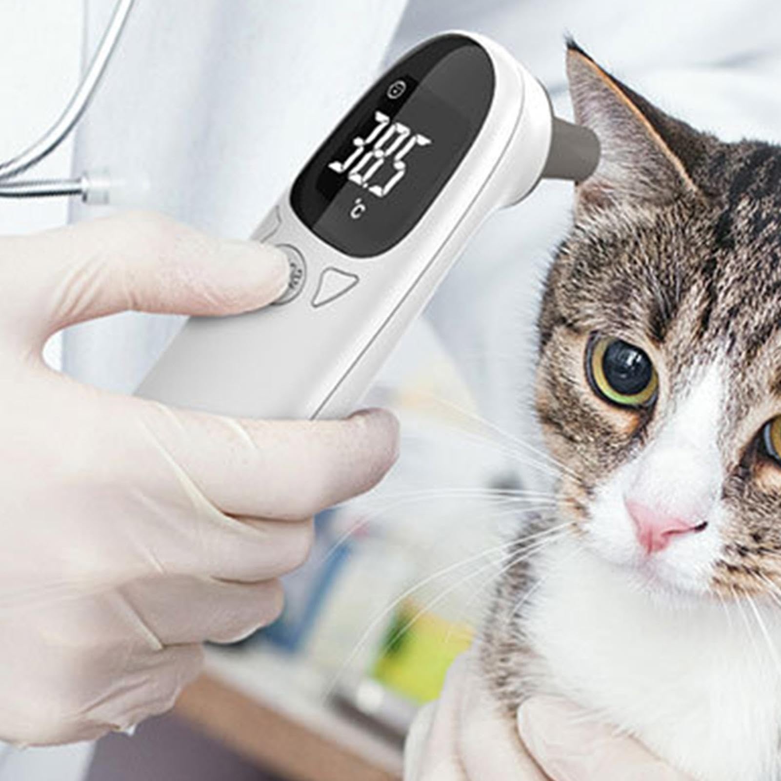 Generic Dog Ear Thermometers | Dog Tech Supplies | Accurate Fever Detection Device for Pet, Pet Supplies Veterinary Thermometers High Precision Double Mode Design, Cows Dog Ear Thermometers for Pigs