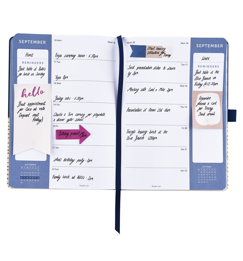 Busy B A5 2019 Stripe Design Busy Life Week to View Diary with Pockets and Dual Schedules