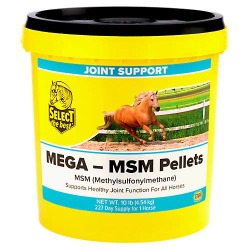 Select The Best Mega-MSM Pellets 10 lb