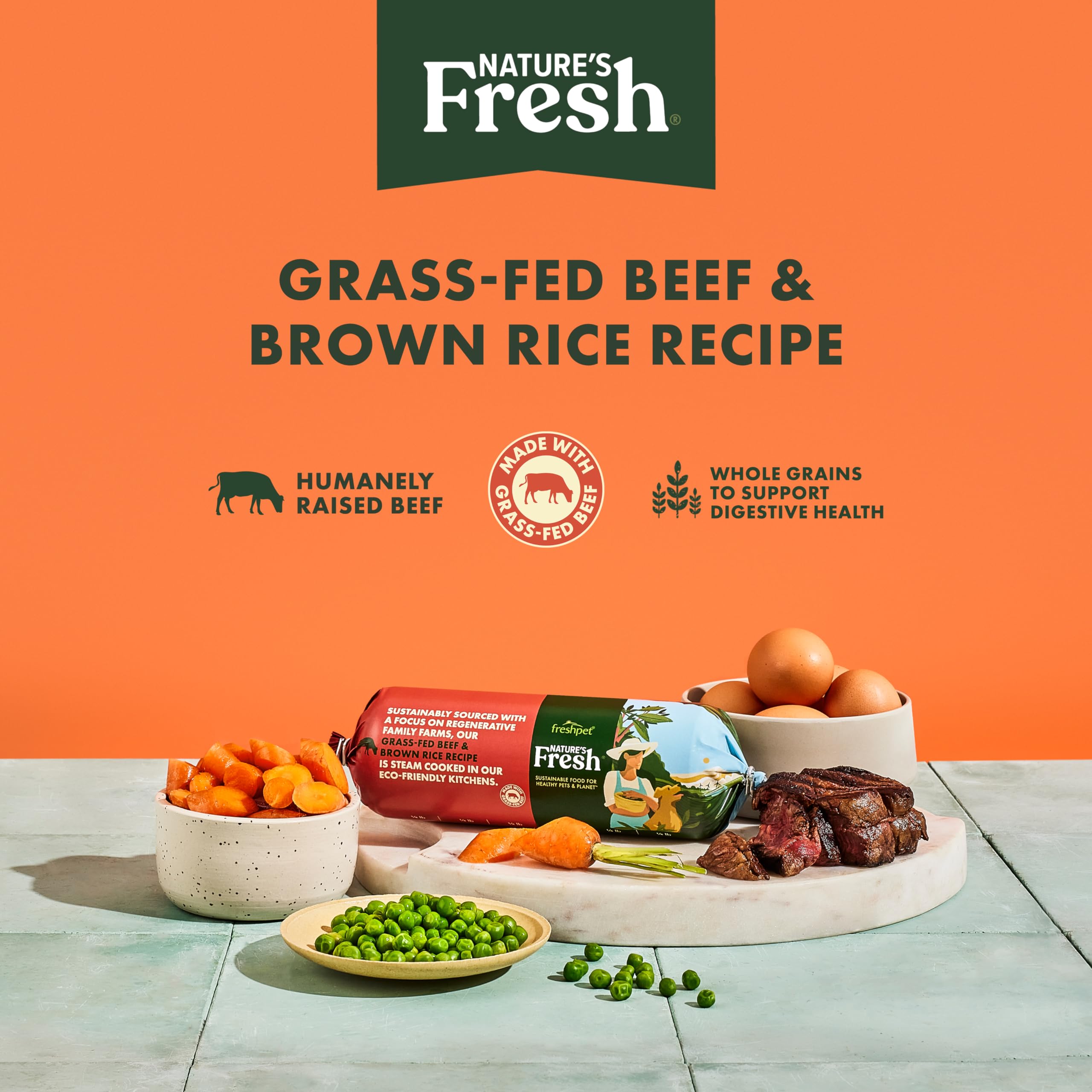 FRESHPET Beef Garden Vegetables Grains 5Lb Dog Food, 80 OZ
