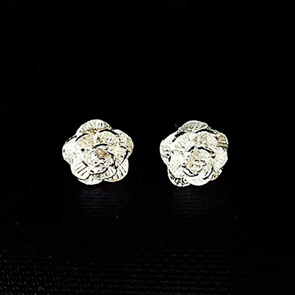 S5E5X Premium Quality Elegant Cherry Earrings Simple Temperament Earrings Accessories Gifts for Women (A)