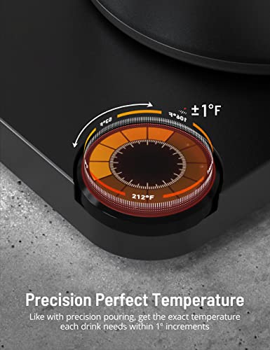 Paris Rhône Gooseneck Electric Kettle, Temperature Variable Electric Kettle for Coffee Tea Brewing, 0.9L Stainless Steel Tea Kettle, 1H Temperature Holding, Built-in Stopwatch for Gift