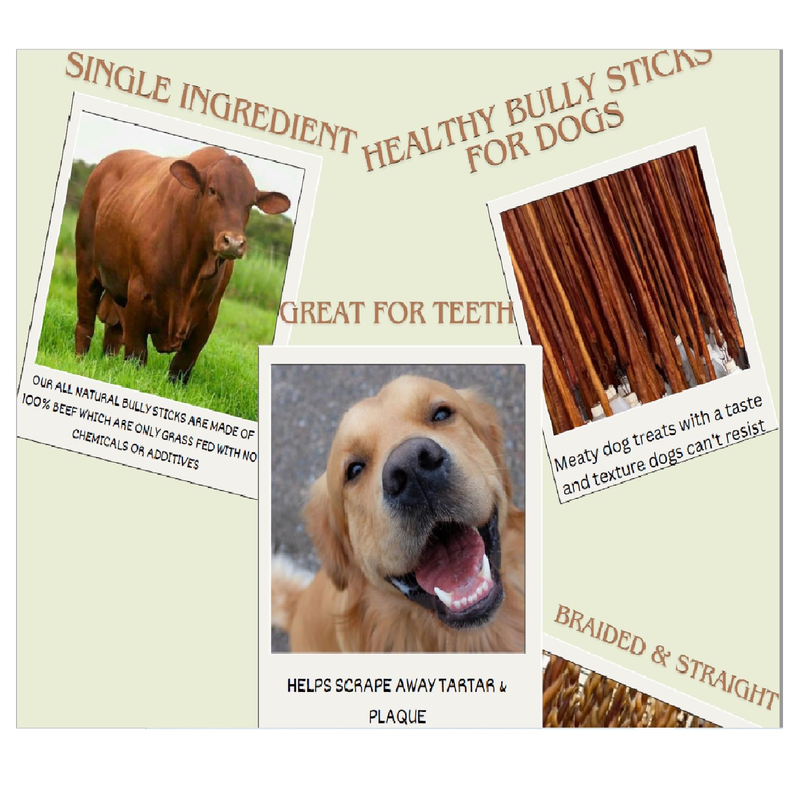 ELITE TREAT Natural Odor Bully Sticks for Dogs,Healthy Long Lasting Pizzle Chews (6 Inch, 24 Pack),All Natural,Free Range 100% Grass-Fed Beef,Grain-Free (Medium/Thin)