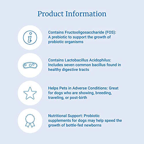 PetAg Bene-Bac Plus Pet Gel - FOS & Probiotics Gel Supplement with Naturally Occurring Microorganisms - 1 Count (15 g Syringe)