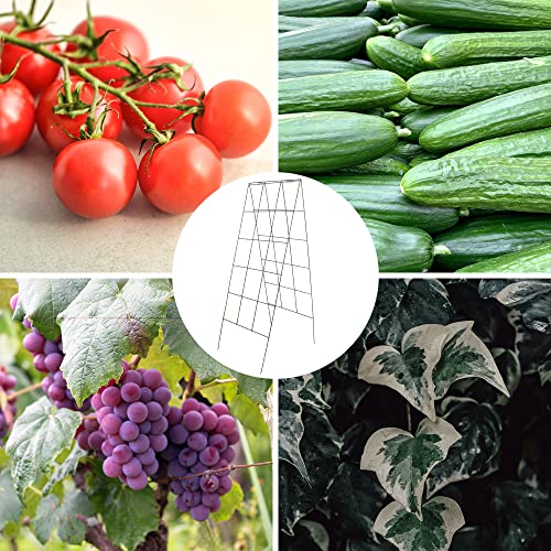 Cucumber Trellis A Frame Garden Trellis for Climbing Plants Outdoor Vegetables Flowers 2Packs