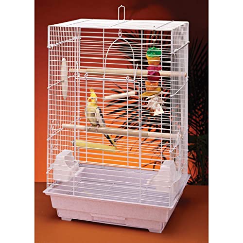 PENN-PLAX Cockatiel & Small Parrot Starter Kit with Birdcage, Cover, and Accessories β Great for Cockatiels, Conures, and Small Parrots β Square Dome β White