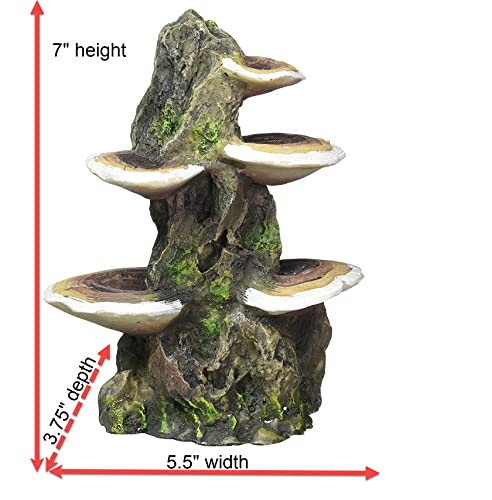 Penn-Plax Deco-Replicas Tree Trunk with Shelf Mushrooms Aquarium Decoration β Safe for Freshwater and Saltwater Fish Tanks β Medium