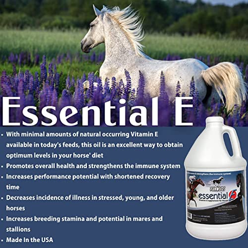 Pennwoods Essential E: Equine Vitamin E Supplement for Horse Health, Performance, Recovery & Nutrition - 1 Gallon