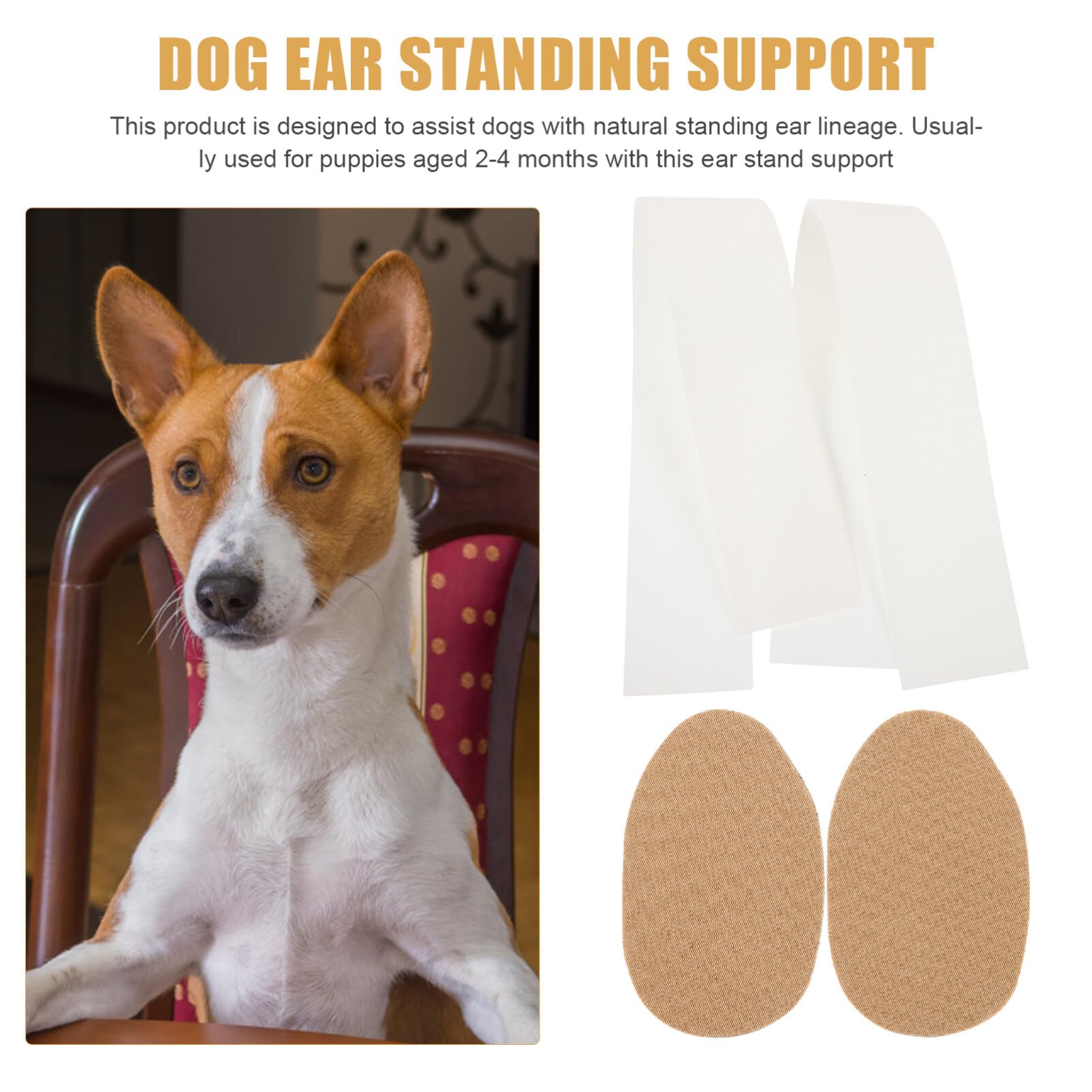 Ipetboom Dog Ear Posting Kit, Dog Ear Stand Sticker Up Support Tool Dog Ear Fixed Correction Vertical Holder for Corgi Small Doberman 1 Pair