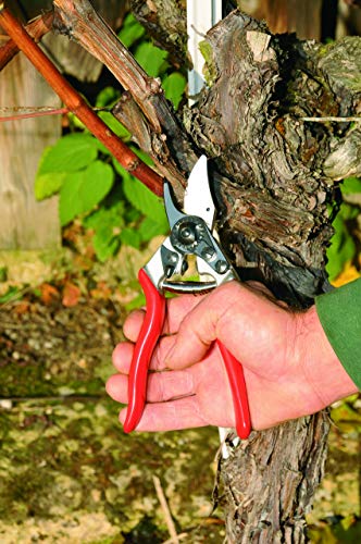Felco Pruning Shears (F 6) - High Performance Swiss Made One-Hand Garden Pruners - 100052385