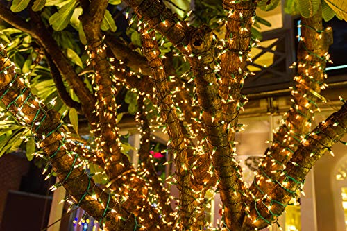 DecoBrite Incandescent 69ft (21m) 300 ct Christmas String Lights Clear with Green Wire, Indoor Outdoor Christmas Lights Decorations for Tree, Patio, Garden(300 Clear Bulbs with Green Wire