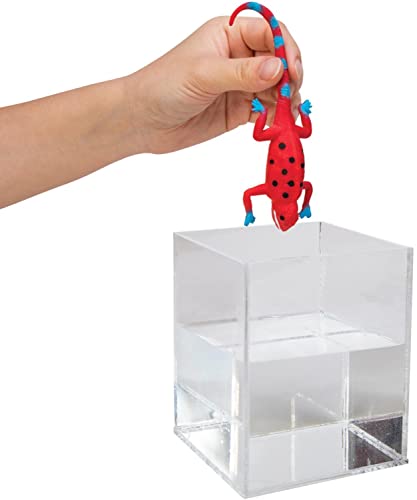 Schylling Color Changing Revealeons Toy, 1 EA