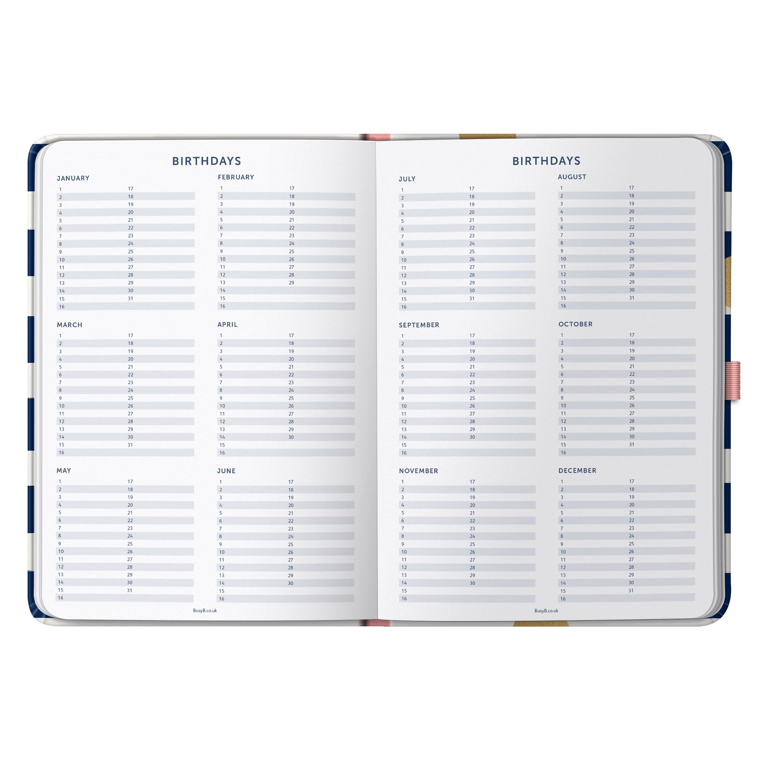 Busy B Day A Page Diary January to December 2024 - A5 Navy Stripe - Daily Planner with Lined Pages, Notes and Year Planner