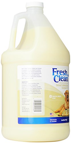 PetAg Fresh 'n Clean Oatmeal 'n Baking Soda Dog Shampoo - Tropical Fresh Scent - Strengthens, Repairs, & Protects Your Dog's Coat - 18 Fl Oz