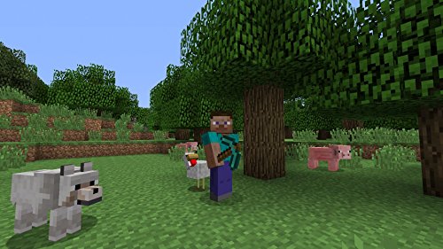 Minecraft (PS4)