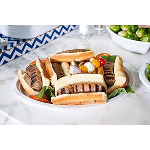 Chinet Premium 12 5/8 x 10-Inch Paper Platters, 24 ct - 2 Pack