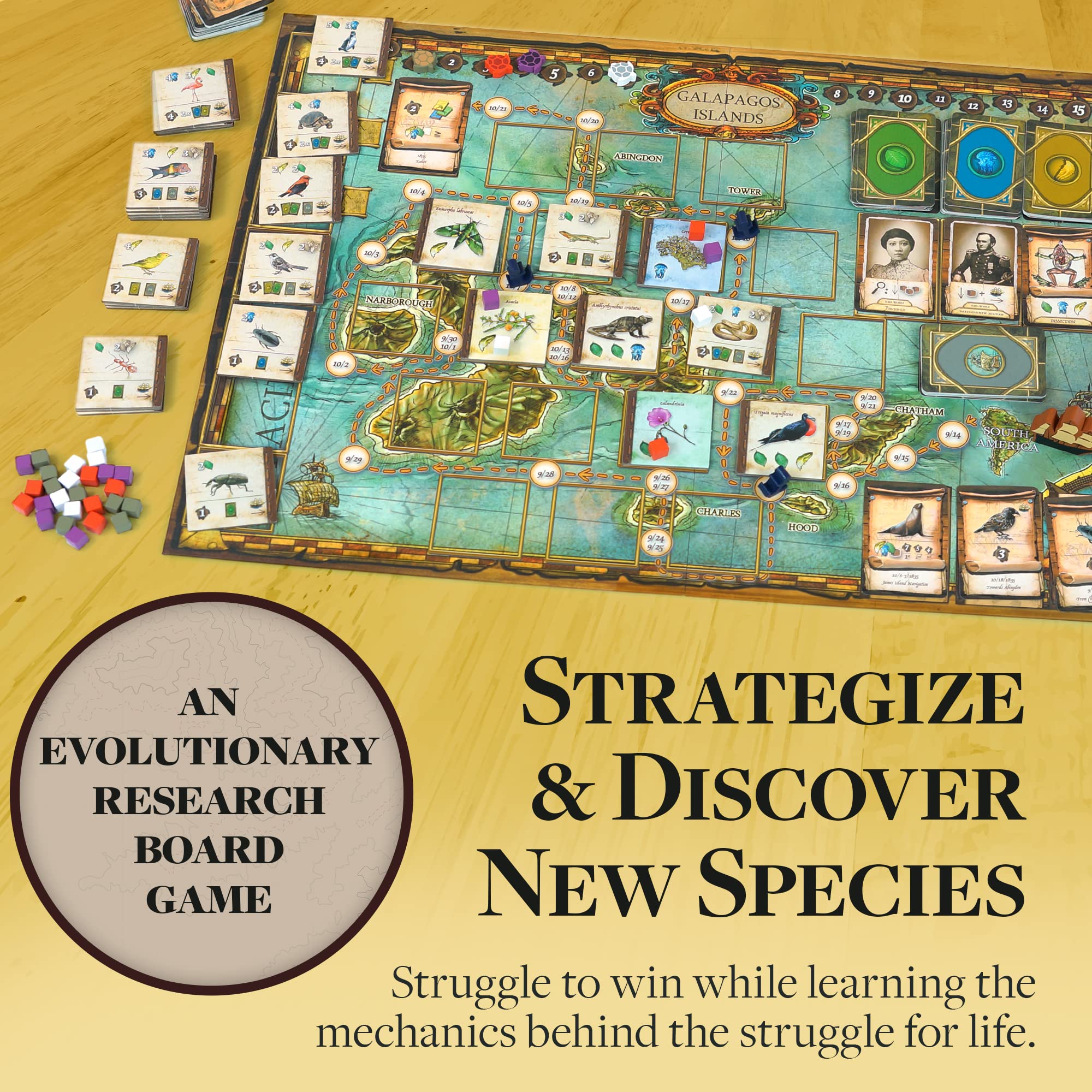 On The Origin of Species | An Evolutionary Research Board Game by Artana Games | Charles Darwin's Trip Through the Galapagos as a Strategic Science Board Game for Kids and Families | Based on the Book