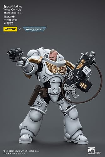 JoyToy Warhammer 40K: Space Marines White Consuls Intercessors 2 1:18 Scale Action Figure