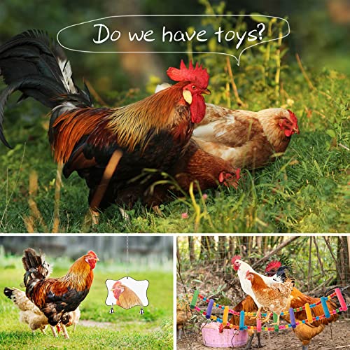 KAKUNM Chicken Toys for Coop 9PCS- Chicken Xylophone, Chicken Swing, Chicken Mirror, Chicken Flexible Ladder, Chicken Vegetable String Bag and Hanging Feeder