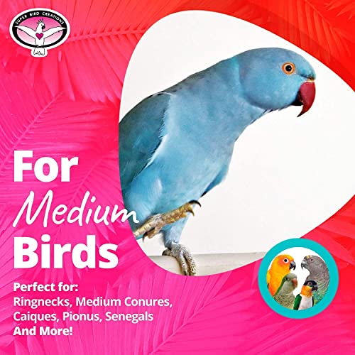Super Bird Creations SB669 Wicker Foraging Basket Bird Toy with Array of Chewable Toys for Parrots, Medium Size, 10β x 4β x 5β, Varies, 1 Count (Pack of 1)