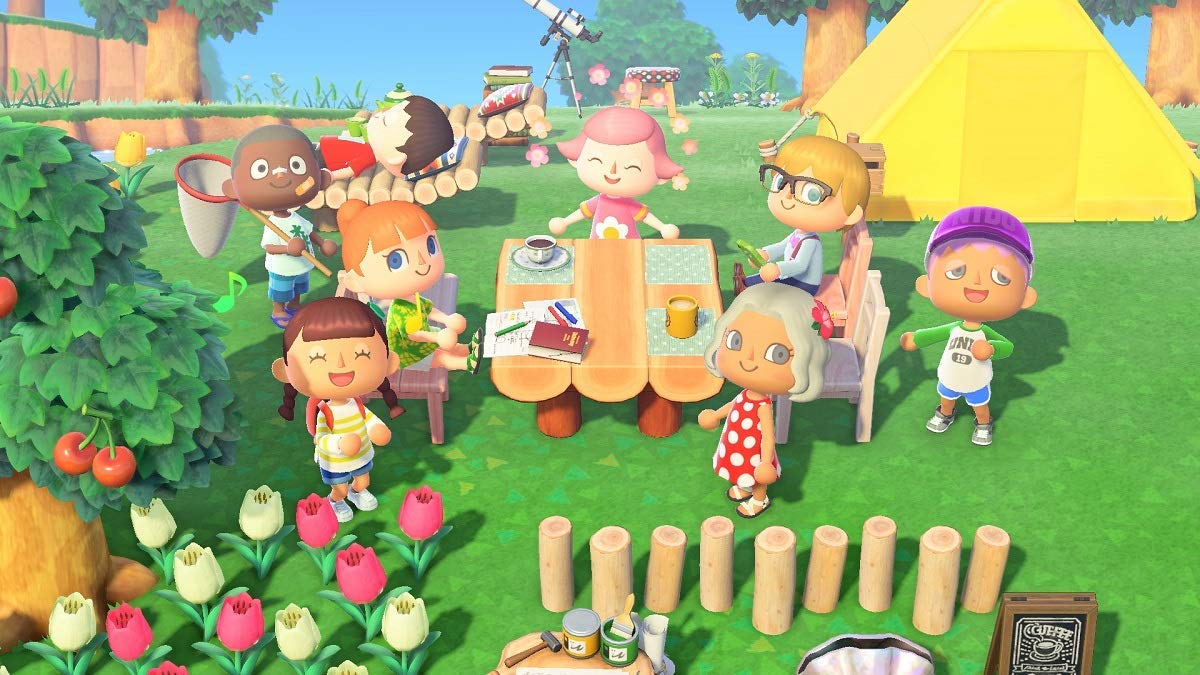 Nintendo Switch - Animal Crossing: New Horizons Edition, With Accessory Bundle.