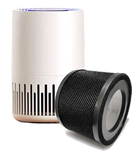 Nispira True HEPA Replacement Filter for Air Purifier, Compatible with Tao Tronics TT-AP001, 2 Packs