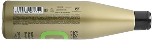 Salerm Grasa Specific Oily Hair Shampoo 18 Oz.