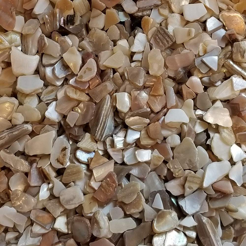 BeachWalk Small Natural Crushed Shells - for Weddings, Vase Filler, Home Décor, and Crafts (32 oz (2 lb), Holiday Pearl)