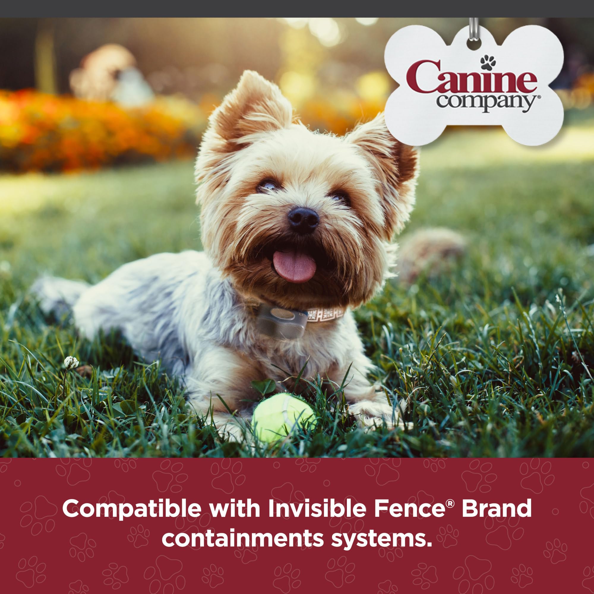 Canine Company Pet Fence Batteries for Invisible Fence Brand Receiver Collars Units โ Compatible with Microlite or Microlite Plus Receiver Collars - Single Pack