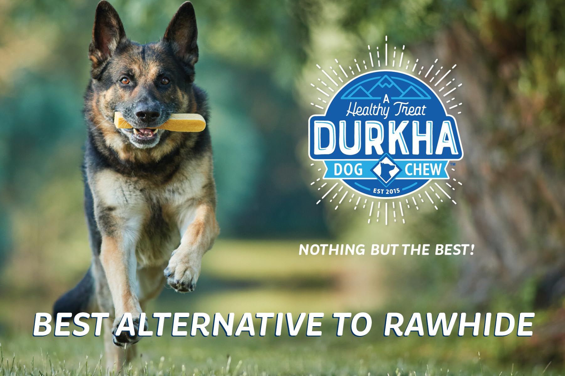 Durkha Yak Himalayan Dog Chews | Natural Long Lasting Dog Chew Made from Yak or and Cow Milk | Great for Aggressive Chewers, 5 Piece, Medium(3-4 OZ per Piece)