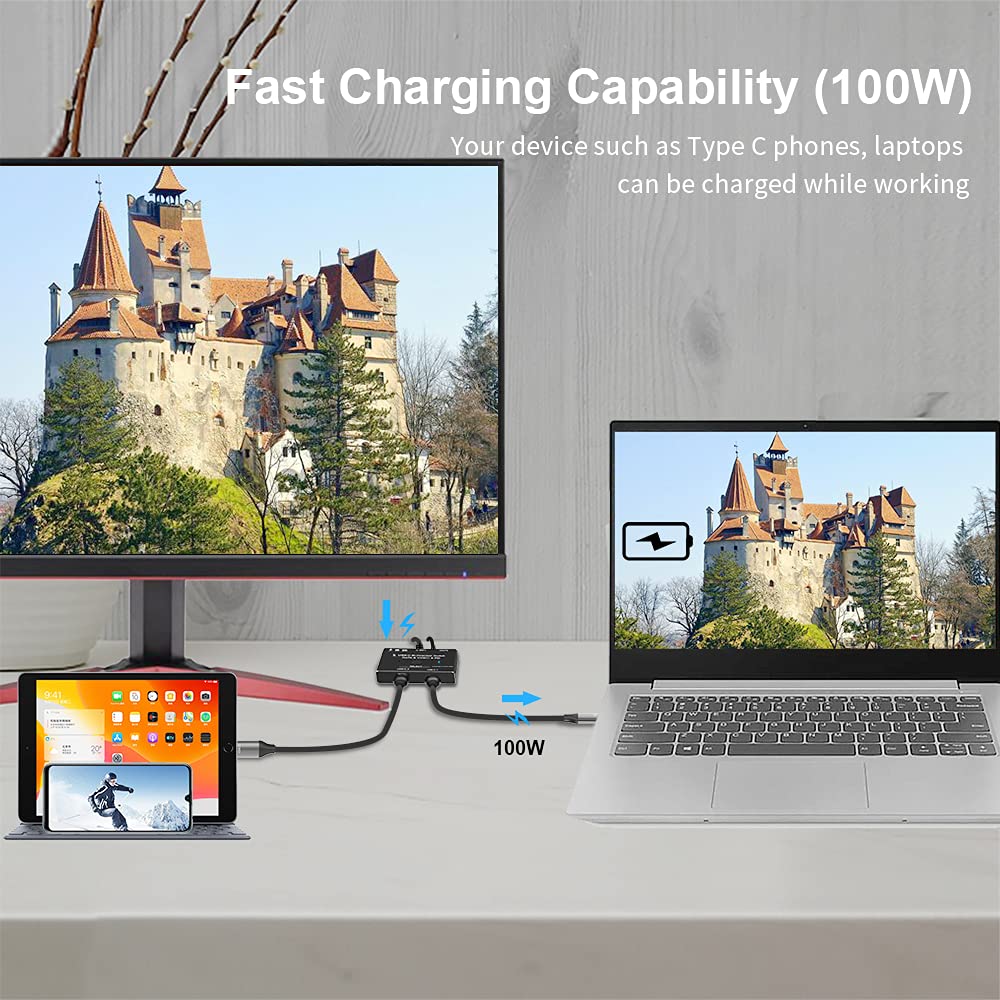 CHENLENIC USB-C Splitter Type-C 8K Switch USB 3.1 C Gen 2 Cable for Video Bi-Direction 8K@60Hz 4K@120Hz Power Delivery 100w 10Gbps Data Transfer Splitter Converter 0.6m